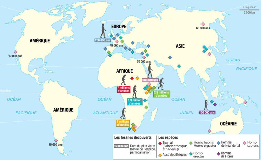 Parcours 1 : Sur les traces des premiers humains – La Classe d'Histoire